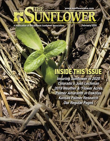 The Sunflower Magazine
