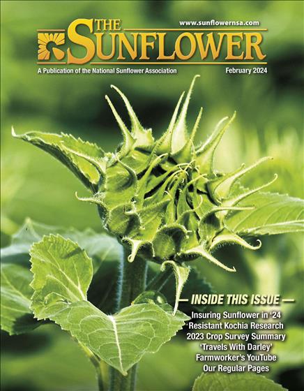 The Sunflower Magazine