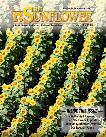 The Sunflower Magazine